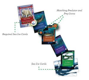 EcoChains: Arctic Life – A food web card game
