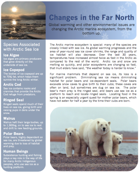 For Educators Ecochains Arctic Life